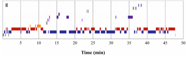 WHY YOUR BRAIN WANTS TO CHECK FACEBOOK EVERY 31 SECONDS